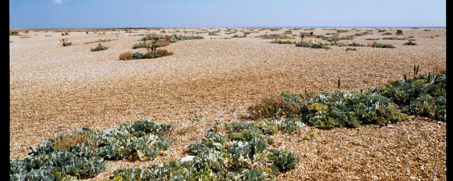 Radical Landscapes at the William Morris Gallery - Think Pieces